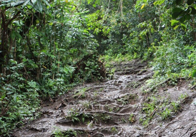 Maui: Road to Hana 4Hr GPS self-guided audio driving tour - FAQ