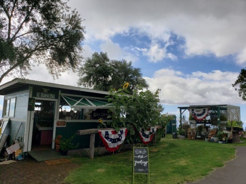 Maui: Road to Hana Adventure with Breakfast & Lunch - Exploring The Road to Hana