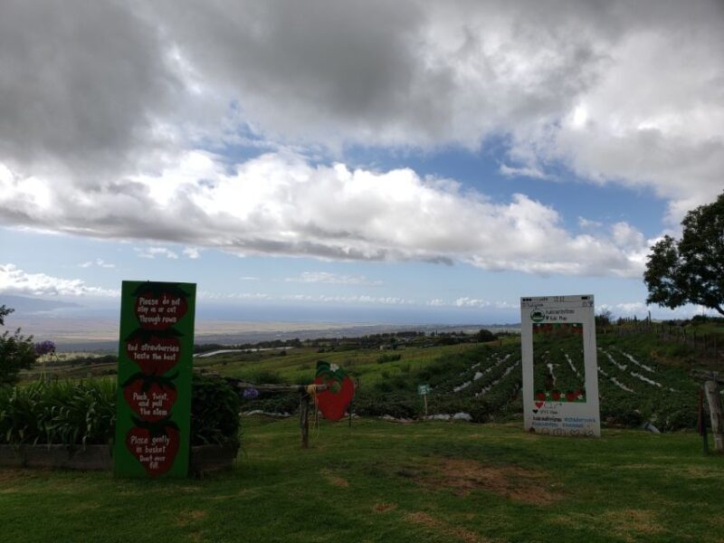Maui: Road to Hana Adventure with Breakfast & Lunch - Transportation and Comfort