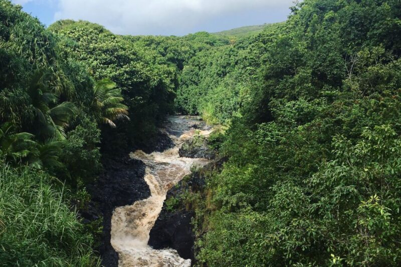 Maui: Road to Hana Sightseeing Tour - Final Thoughts: Is This Tour Worth It?