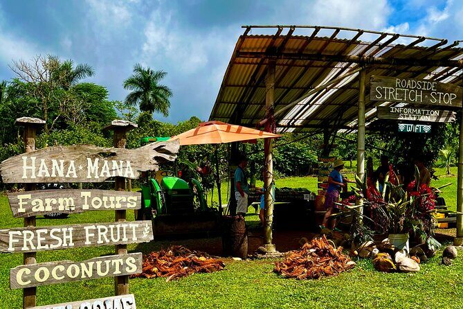 Maui Road to Hana VIP Private Tour in Convertible Bronco - Who Should Consider This Tour?