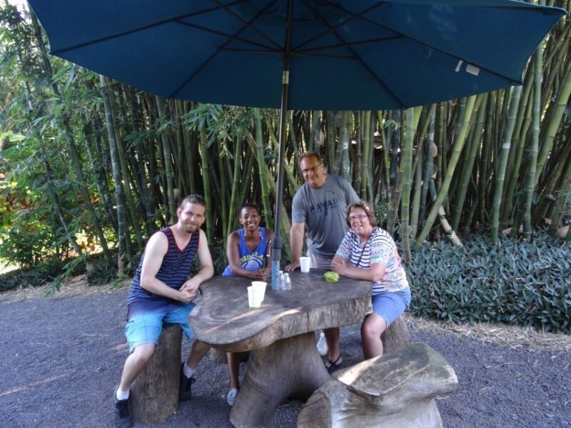 Maui: Road to Hana Waterfalls Tour with Lunch - The Full Experience: An In-depth Look at the Tour