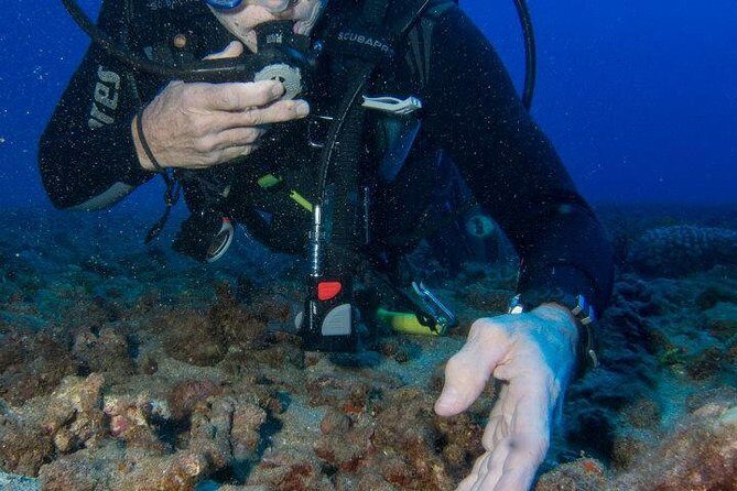 Maui Scuba Diving Introductory Lesson from Lahaina - Key Points