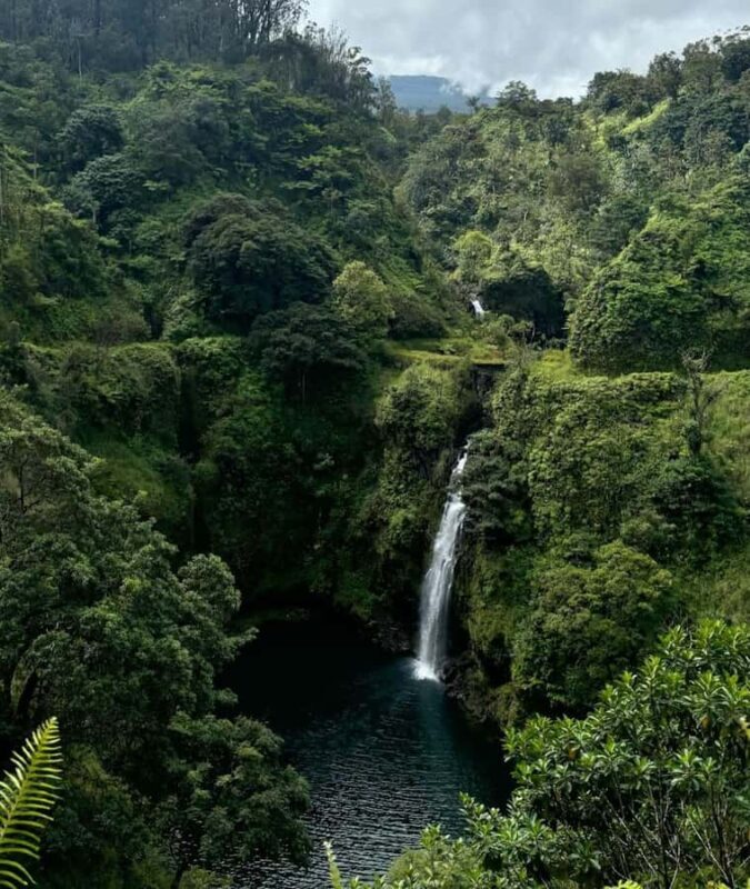 Maui Sea Turtles & Waterfalls: Full-Day Road to Hana Tour - Final Thoughts
