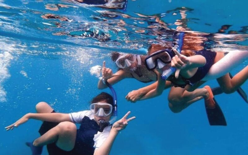 Maui: Semi-Private 3 Hour Eco-Raft Turtle Snorkel Tour - The Experience: An In-Depth Look at the Tour