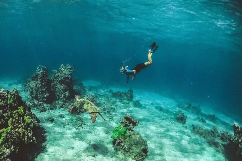 Maui: Semi-Private 3 Hour Eco-Raft Turtle Snorkel Tour - Final Thoughts: Who Is This Tour Best For?