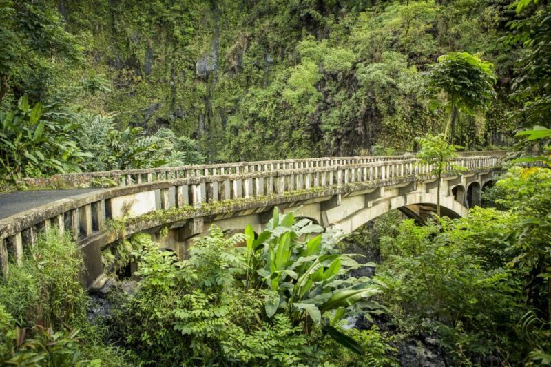 Maui: Small-Group Road to Hna Sightseeing Tour - Food and Refreshments