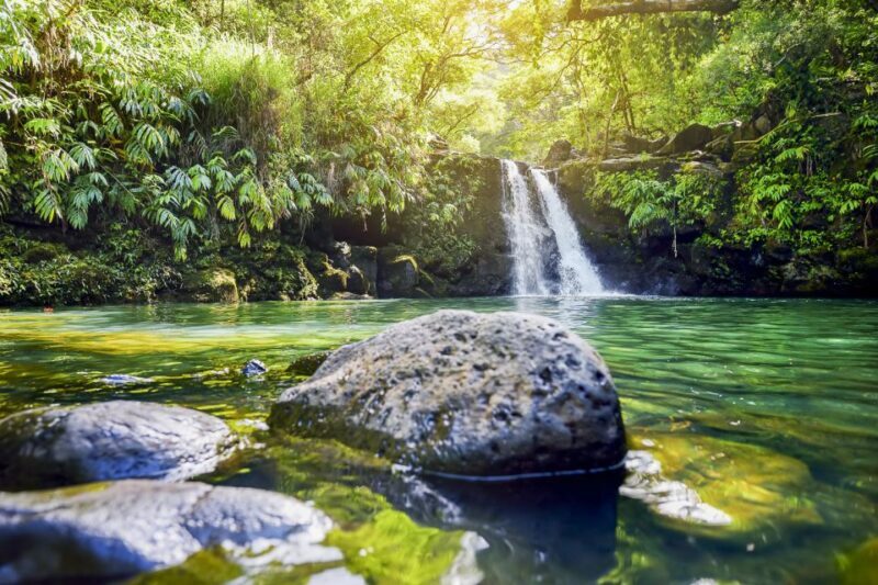 Maui: Small-Group Road to Hna Sightseeing Tour - Water and Nature Experiences