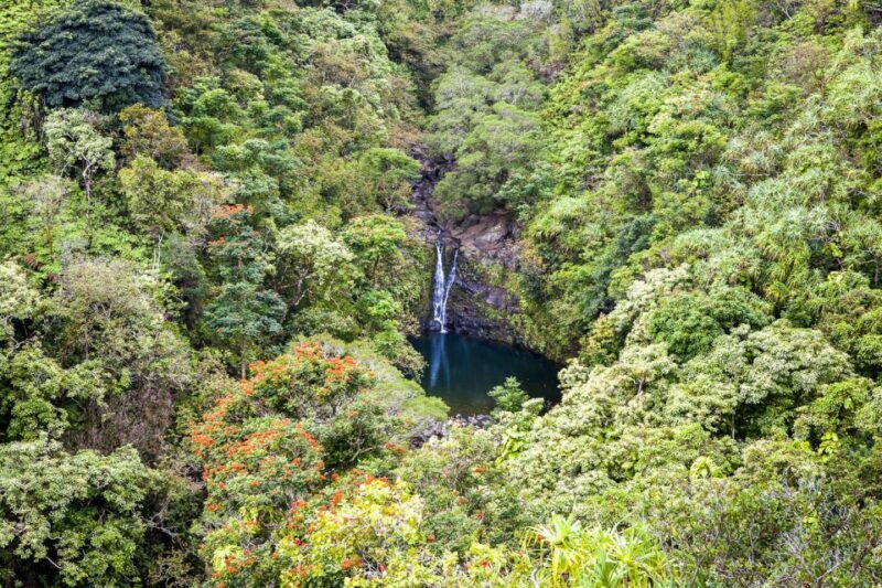 Maui: Small-Group Road to Hna Sightseeing Tour - Is This Tour Right for You?