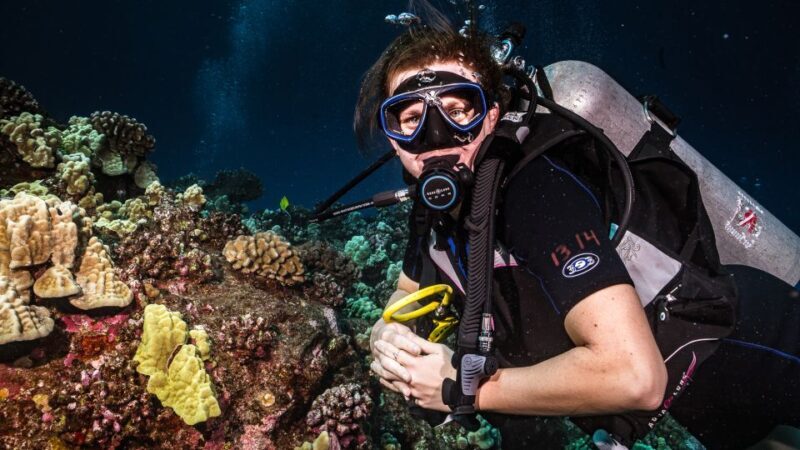 Maui: Small Group Shark & Turtle Scuba Dive from Shore - Who Will Love This Experience?
