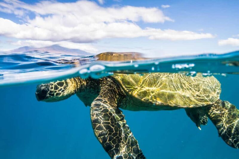 Maui: Snorkel and Sunset Sail with Water Slide - The Sum Up