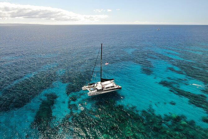 Maui Snorkel Sail Adventure with Lunch and Whale Watching - Authentic Encounters and Customer Feedback