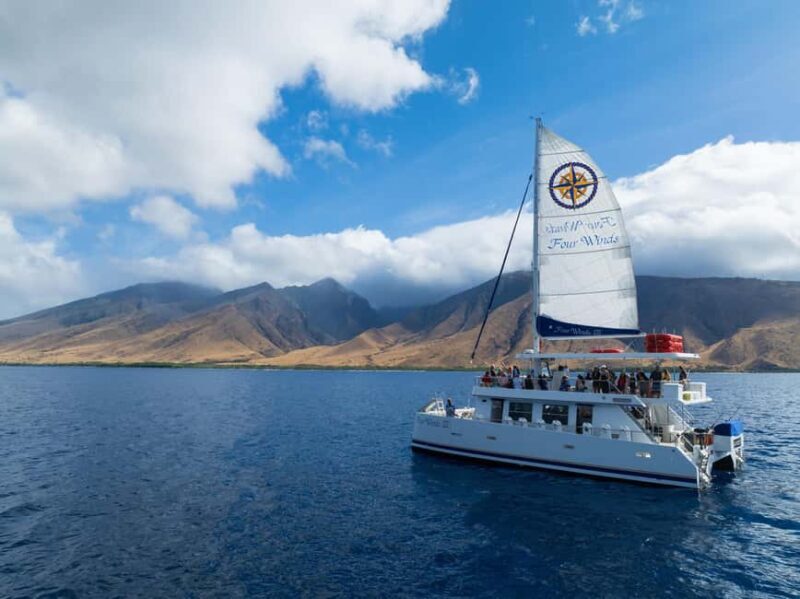 Maui: Snorkel Tour to Coral Gardens - Key Points