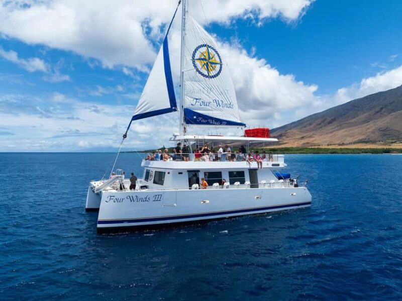 Maui: Snorkel Tour to Coral Gardens - An In-Depth Look at the Snorkel Tour Experience