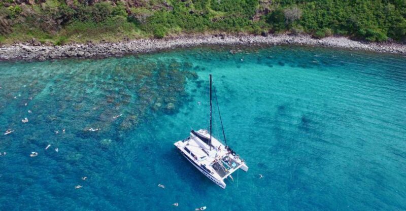 Maui: Snorkeling and Sailing Adventure with Buffet Lunch - Key Points