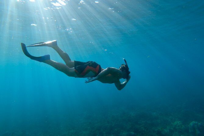 Maui Snorkeling Boat Tour to Turtle Town Aboard Quicksilver - Final Thoughts