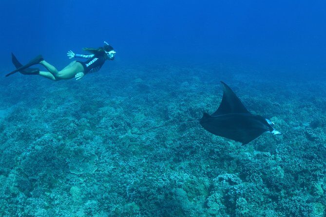 Maui Snorkeling Boat Tour to Turtle Town Aboard Quicksilver - Price Versus Value: Is it worth it?