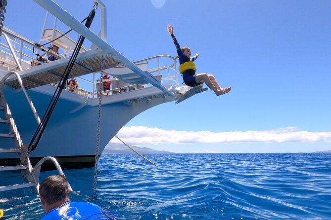 Maui Snorkeling Molokini Crater and Turtle Town - An In-Depth Look at the Tour Experience
