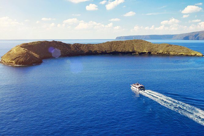 Maui Snorkeling Molokini Crater and Turtle Town - The Sum Up: The Value of a Maui Marine Adventure