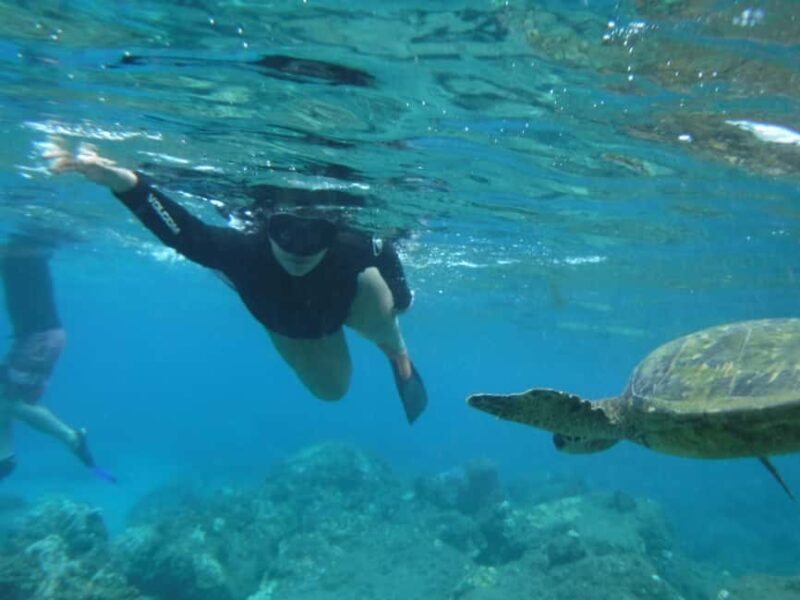 Maui: Snorkeling Tour with Gear and Instructor - Additional Practical Details