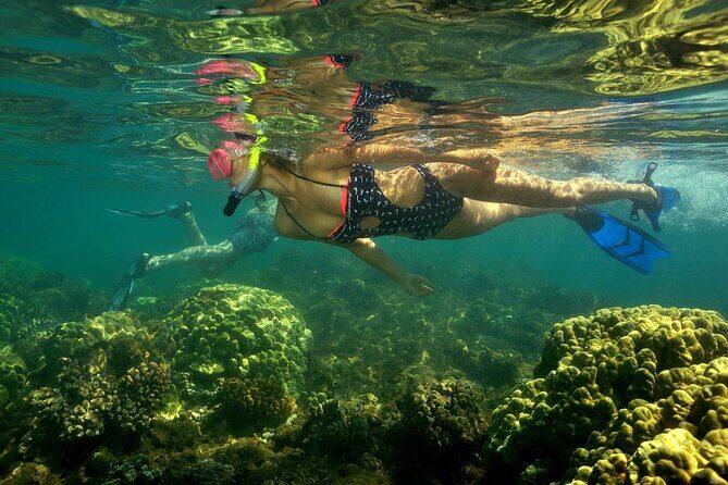 Maui South Shore Premier Kayak and Snorkel Tour from Makena Beach - An In-Depth Review of the Maui South Shore Kayak and Snorkel Tour