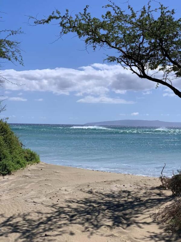 Maui: Stand-Up Paddleboard Rental - What to Expect on Your Paddleboarding Day