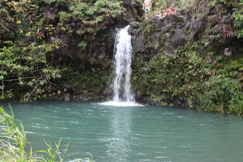 Maui: The Ultimate Road to Hana Slingshot Adventure Tour - FAQ
