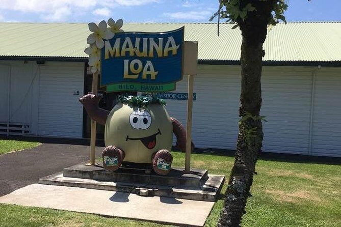 Maui to Big Island : Big Island Volcano Helicopter Tour & Ground Tour - The Sum Up