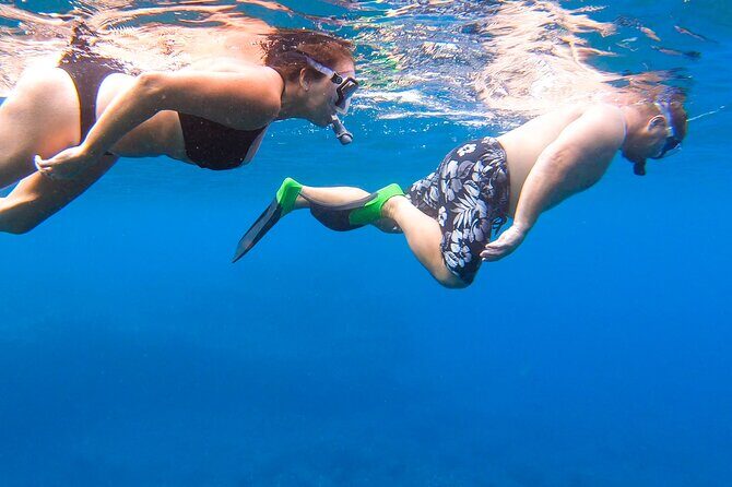 Maui to Lanai Semi-Private Eco Raft Snorkel & Dolphin Tour - Who Will Love This Tour?