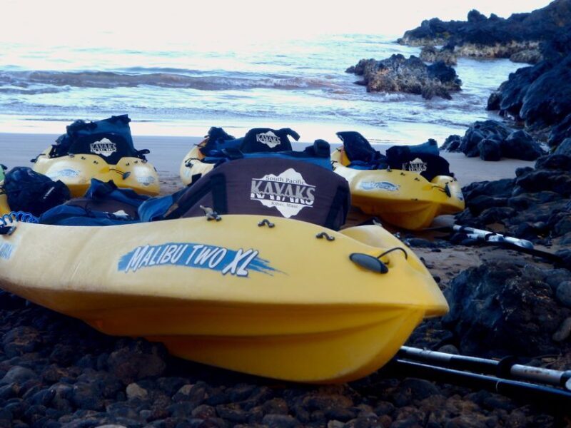 Maui: Turtle Town Kayak and Snorkel Tour - Logistics & Practical Tips