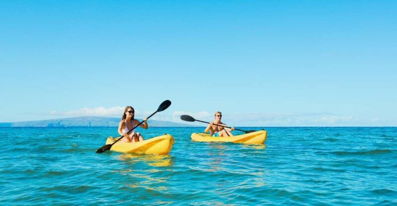 Maui: Turtle Town Kayak and Snorkel Tour - Final Thoughts