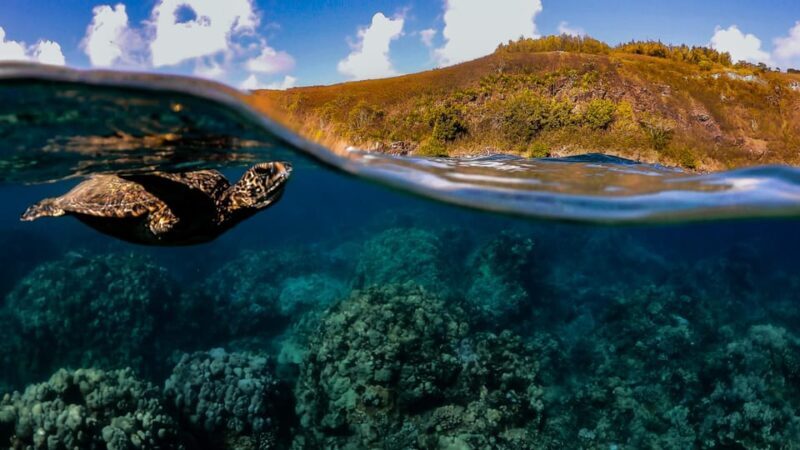 Maui: Turtle Town Sunset Glow Snorkel With Optional Photo - Discovering the Sunset Glow Snorkel Tour