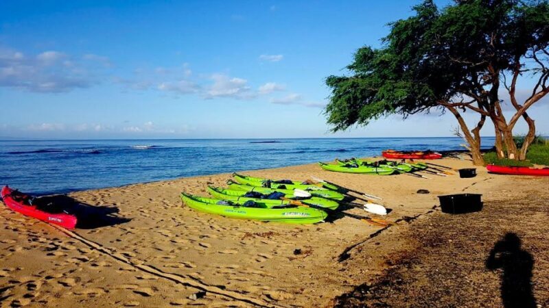 Maui: West Side Discovery Kayak & Snorkel from UKUMEHAME - The Wildlife and Marine Environment