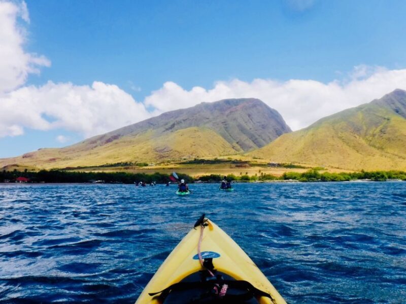 Maui: West Side Discovery Kayak & Snorkel from UKUMEHAME - Equipment and Comfort