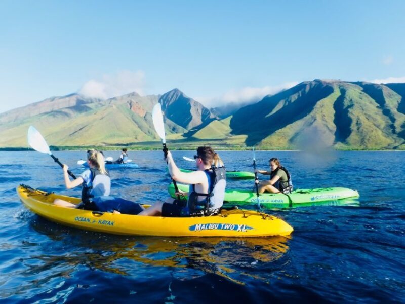 Maui: West Side Discovery Kayak & Snorkel from UKUMEHAME - The Value and Pricing