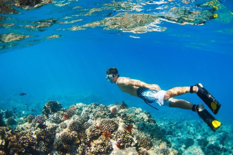 Maui: West Side Discovery Kayak & Snorkel from UKUMEHAME - Who Will Love This Tour?
