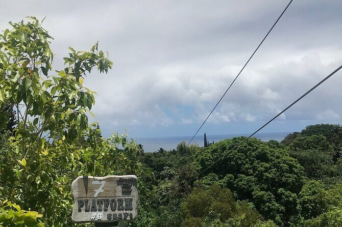 Maui Zipline Eco Adventure: 8 Lines through the Jungle - An In-Depth Look at the Maui Zipline Experience