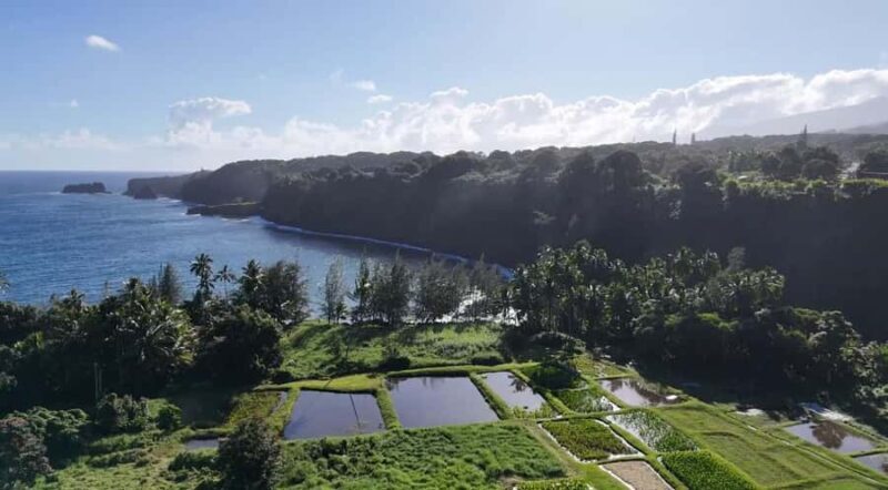 Maui's Sea Turtle & Waterfalls: Taste of Hana Guided Tour - Key Points