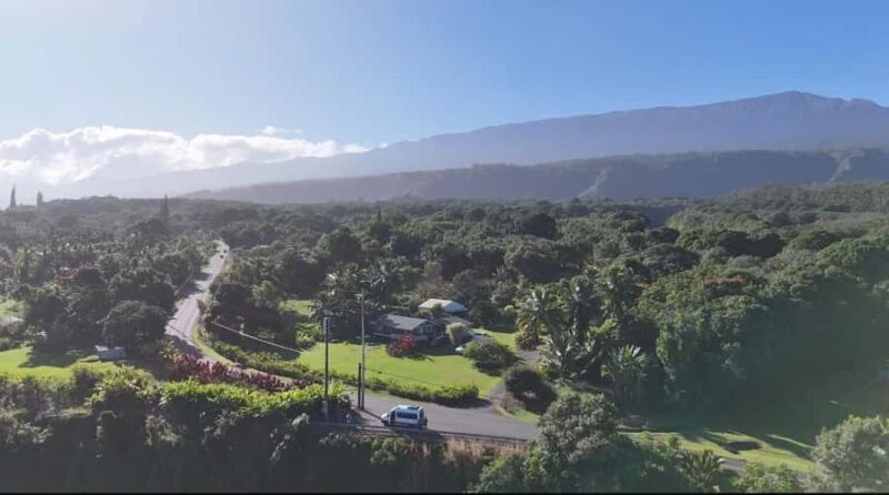 Maui's Sea Turtle & Waterfalls: Taste of Hana Guided Tour - An In-Depth Look at the Tour Experience