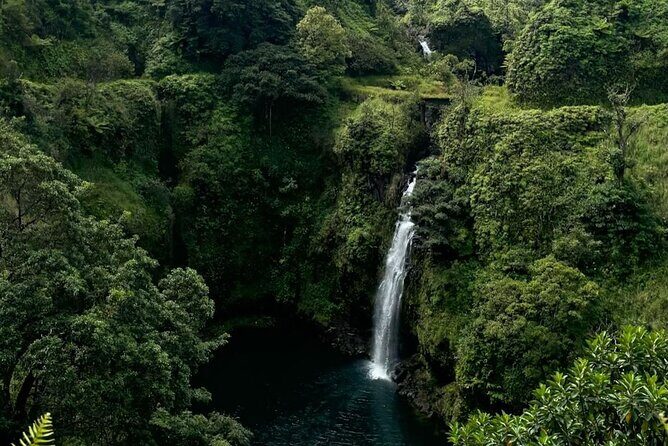 Mauis Sea Turtles, Waterfalls and Road to Hana Adventure - An Authentic Maui Adventure: What to Expect