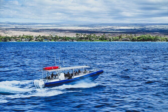 Mauna Kea 3hr Two Stop Sealife Snorkel Adventure - The Sum Up