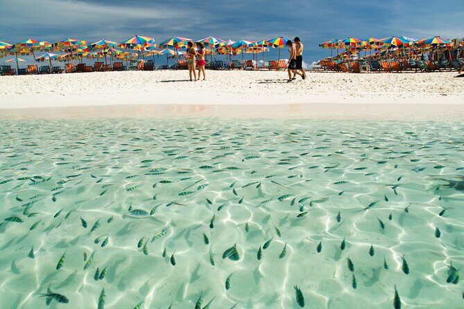 Maya and Khai Escape Phi Phi Snorkeling by Speedboat - Pricing and Value