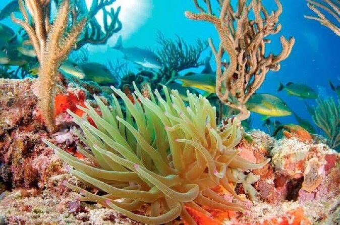 Mayan Adventure from Cancun - Who Will Love This Tour?