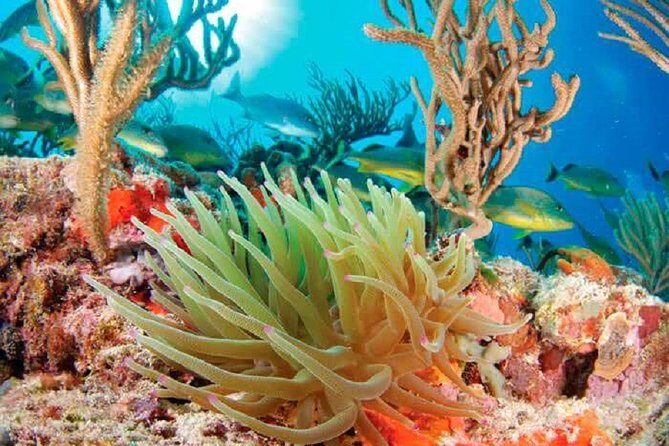 Mayan Adventure from Cancun - The Sum Up