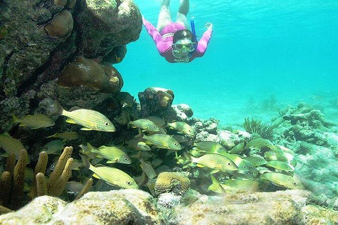 Mayan Adventure from Cancun - Analyzing the Experience: What You Should Know