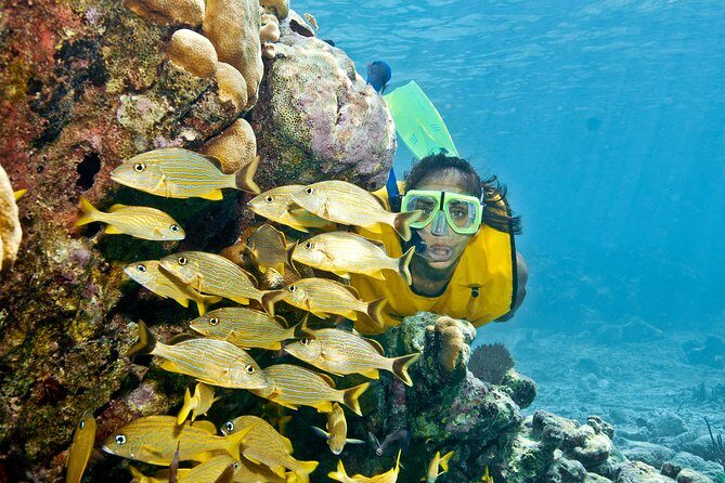 Mayan Adventure Snorkeling Tour from Playa del Carmen or Riviera Maya - The Itinerary in Detail: What You Can Expect