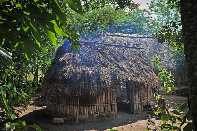 Mayan Backroads Private Bike Tour from Tulum - What Travelers Say About the Experience