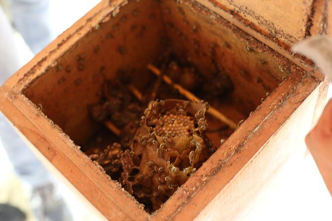 Mayan Backroads Private Bike Tour from Tulum - The Practicalities: Transportation, Duration, and What to Bring