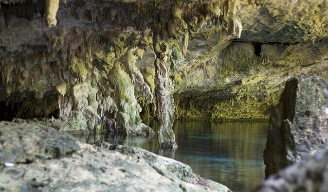 Mayan Ceremonial Night: Temazcal, Cenote Swim and Dinner from Playa del Carmen - Introduction