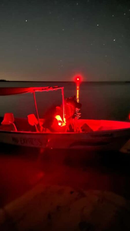 Mayan Cosmovision and Nightlife: Rio Lizards Night Tour Crocodiles - Who Will Enjoy This Tour?